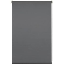 Gardinia Seitenzugrollo &raquo;Uni Klemmrollo&laquo; Lichtschutz Sichtschutz mit Bohren/ohne Bohren freih&auml;ngend Schraubmontage m&ouml;glich grau Polyester 150cm, 