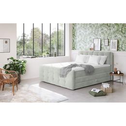 COTTA Boxspringbett &raquo;Fort mit Bettkasten, inkl. Topper&laquo; erh&auml;ltlich in verschiedenen Breiten (160cm, 180cm & 200cm) beige 100% POLYESTER (PES) 