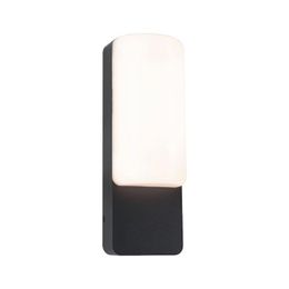 Paulmann LED Au&szlig;en-Wandleuchte &raquo;Bonnie IP44 93x77mm 3000K 8,5W 560lm 230V Anthrazit Aluminium&laquo; 1 Stk. Warmwei&szlig; grau 1, H: 26,3cm, 1 Stk.