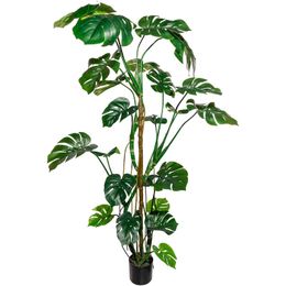 Creativ green Kunstbaum &raquo;Splitphilodendron&laquo; gr&uuml;n Kunststoff &Oslash;/H: 26cm x 180cm, 1 Stk.