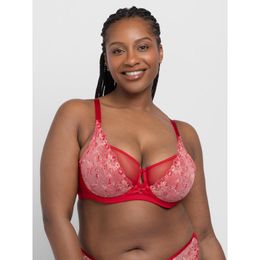 Dorina B&uuml;gel-BH &raquo;Erin (Valentine)&laquo; mit floraler Spitze rot 105, Cup H B&uuml;gel-BH