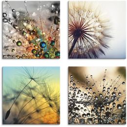 Artland Leinwandbild &raquo;Pusteblume,Nahaufnahme L&ouml;wenzahn&laquo; Blumen 4 Stk. tlg. 4er Set, verschiedene Gr&ouml;&szlig;en beige Leinwand, MDF B/H/T: 30cm x 30cm, Leinwandbild 