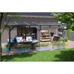 Skan Holz Terrassendach &raquo;Bormio&laquo; grau Polycarbonat (PC) B/H/T: 648cm x 247cm x 400cm, farbig lasiert