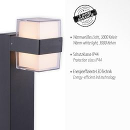 Paul Neuhaus LED Gartenleuchte &raquo;CARA&laquo; LED-Board 1 Stk. Warmwei&szlig; IP44 grau 2, 1 Stk.