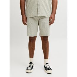 Jack & Jones PlusSize Jack & Jones Plussize Herren Jack & Jones PlusSize Shorts &raquo;JPSTJAIDEN RIVIERA TEXTURE SHORT PLS&laquo; mit elastischem Bund 48 (7XL), N-Gr