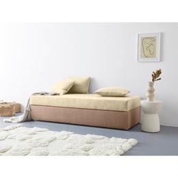 Maintal Polsterliege &raquo;Diana&laquo; braun Liegeh&ouml;he 55cm, Liegefl&auml;che B/L: 83cm x 203cm, kein H&auml;rtegrad, 5-Zonen-Komfortpolsterung