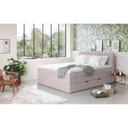 COTTA Boxspringbett &raquo;Shark inkl. Bettkasten und Topper&laquo; erh&auml;ltlich in den Breiten 140x200cm, 160x200cm und 180x200cm grau 100% POLYESTER (PES) 