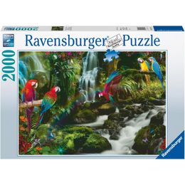 Ravensburger Puzzle &raquo;Bunte Papageien im Dschungel&laquo; Made in Germany bunt Pappe Einheitsgr&ouml;&szlig;e