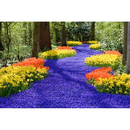papermoon Fototapete &raquo;Spring Flowers&laquo; glatt bunt Vlies B/L: 2,5m x 1,86m, Bahnen: 5 Stk.