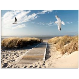 Artland Glasbild &raquo;Nordseestrand auf Langeoog mit M&ouml;wen&laquo; Strand 1 Stk. tlg. in verschiedenen Gr&ouml;&szlig;en blau B/H/T: 60cm x 45cm, Glasbild Strand, 1 Stk.