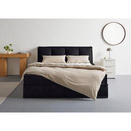 LeGer Home by Lena Gercke Boxspringbett &raquo;Addyson&laquo; H&auml;rtegrade H2, H3 und H4 w&auml;hlbar, Boxspringbett inkl. Topper, 2 Matratzen schwarz 88% Polyester, 12%