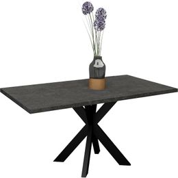M&auml;usbacher Esstisch &raquo;Big System Metall&laquo; Metallgestell in Stern-Form grau B/H/T: 200cm x 78cm x 100cm