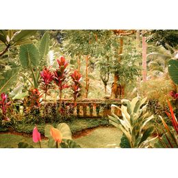 papermoon Fototapete &raquo;Fantasie tropischer Garten&laquo; bunt Vlies B/L: 4,5m x 2,8m, Bahnen: 9 Stk.