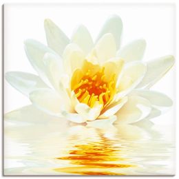 Artland Leinwandbild &raquo;Lotusblume schwimmt im Wasser&laquo; Blumen 1 Stk. tlg. auf Holzrahmen gespannt wei&szlig; Leinwand B/H/T: 70cm x 70cm, Leinwandbild Blumen 