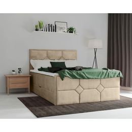 Home Affaire Boxspringbett &raquo;Ambre&laquo; mit Taschen-Federkernmatratze beige Holz teilmassiv Samtvelours Holz teilmassiv, Liegefl&auml;che B/L: 120cm x 200cm, H2
