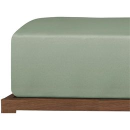 uncover by Schiesser Spannbettlaken &raquo;New Jersey aus 100% Baumwolle&laquo; Made in Green gr&uuml;n Jersey, Obermaterial: 100% Baumwolle B/L: 150cm x 200cm, 1 Stk.