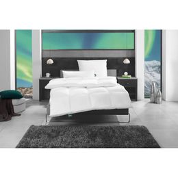 fan G&auml;nsedaunenbettdecke &raquo;f.a.n. Island&laquo; warm 1 Stk. tlg. wei&szlig; Bezug: 100% Baumwolle. F&uuml;llung: 100% G&auml;nsedaunen B/L: 200cm x 220cm, warm