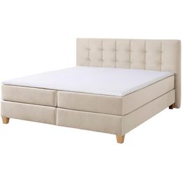 Home Affaire Boxspringbett &raquo;Moulay&laquo; inkl. Topper, in &Uuml;berl&auml;nge 220 cm, 3 H&auml;rtegrade, auch in H4 beige Samtstoff, Liegefl&auml;che B/L: 200cm x 220cm 