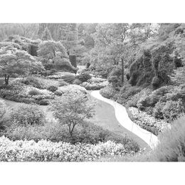 papermoon Fototapete &raquo;Garten Schwarz & Wei&szlig;&laquo; schwarz Vlies B/L: 2,5m x 1,86m, Bahnen: 5 Stk.