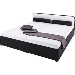 Maintal Polsterbett wahlweise mit Bettkasten schwarz-wei&szlig; Liegefl&auml;che L&auml;nge B: 200cm x 160cm, Microvelours, H&ouml;he Liegefl&auml;che: 42,00, Festpolsterung 