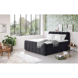 COTTA Boxspringbett &raquo;Fort mit Bettkasten, inkl. Topper&laquo; erh&auml;ltlich in verschiedenen Breiten (160cm, 180cm & 200cm) grau 100% POLYESTER (PES) 