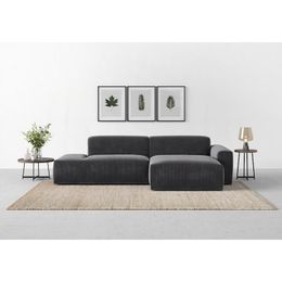 Trendmanufaktur Ecksofa &raquo;Braga, mit hochwertigem Kaltschaum, L-Form, in Cord erh&auml;ltlich&laquo; modernes Sofa, Couch mit hohem Sitzkomfort, 275/72/160 cm (B/
