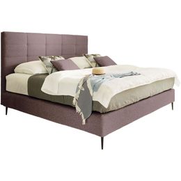 Joka Polsterbett &raquo;Mattina&laquo; Strukturbezug, Matratze in H2 oder H3 w&auml;hlbar lila Liegefl&auml;che L&auml;nge B: 200cm x 180cm, Boucl&eacute;, H&ouml;he Bett: 56cm H&ouml;he 