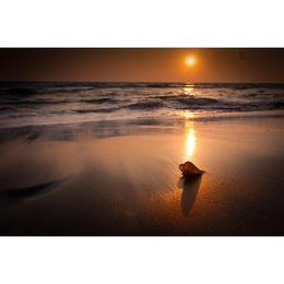 papermoon Fototapete &raquo;Tropischer Strand Sonnenuntergang&laquo; bunt Vlies B/L: 3m x 2,23m, Bahnen: 6 Stk.