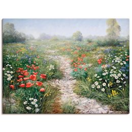 Artland Wandbild &raquo;Dichte der Natur&laquo; Blumenwiese 1 Stk. tlg. als Leinwandbild, Poster in verschied. Gr&ouml;&szlig;en gr&uuml;n Leinwand B/H/T: 60cm x 45cm, Leinwandbild 
