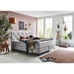 Home Affaire Boxspringbett &raquo;Aiko&laquo; 100% vegan, mit tierfreundlichem Bezugssstoff, besonders pflegeleicht grau Bezug Bett: haustierfreundlicher 