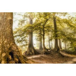 ARCHITECTS PAPER Fototapete &raquo;Tree Meeting&laquo; Vlies, Wand, Schr&auml;ge bunt Vlies B/L: 4m x 2,7m