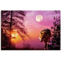 Artland Leinwandbild &raquo;Wolf im Vollmond&laquo; Wolfbilder 1 Stk. tlg. auf Holzrahmen gespannt lila B/H/T: 120cm x 80cm, Leinwandbild Wolfbilder Querformat, 1 Stk.