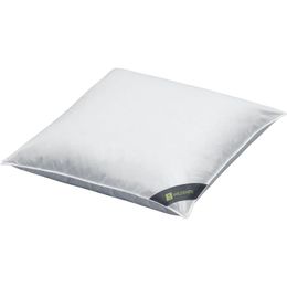 Spessarttraum Federkissen &raquo;Wildente&laquo; 1 Stk. tlg. Kopfkissen 40x80cm & weitere Gr&ouml;&szlig;en silber Bezug: 100% Baumwolle. F&uuml;llung: 70% Federn, 30% Daunen B/H