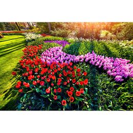 papermoon Fototapete &raquo;Blumen im Garten&laquo; bunt Vlies B/L: 1,5m x 1,11m, Bahnen: 7 Stk.