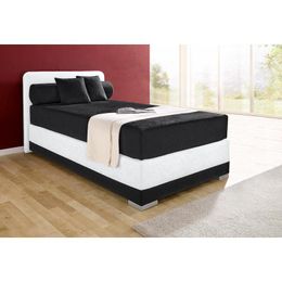 Maintal Boxspringbett &raquo;Lago&laquo; in 3 verschiedenen Matratzenarten, H2 oder H3 schwarz-wei&szlig; Bezug Kopteil und seitliche Unterbox wahlweise Microvelours aus 100% 