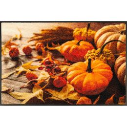 wash+dry by Kleen-Tex Fu&szlig;matte &raquo;Pumpkin Glow&laquo; rechteckig 7 mm H&ouml;he waschbar und trocknergeeignet orange Polyamid B : 50cm 1 Stk., 7mm, L: 75cm