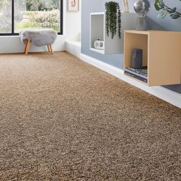 ANDIAMO Teppichboden &raquo;Matz, Schlinge, Gesamth&ouml;he 6 mm, Luxusklasse LC1&laquo; rechteckig meliert, Breite 400 cm oder 500 cm, strapazierf&auml;hig & pflegeleicht braun 