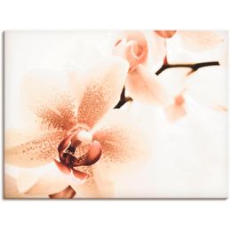 Artland Leinwandbild &raquo;Orchidee abstrakte Collage&laquo; Blumen 1 Stk. tlg. auf Holzrahmen gespannt beige Leinwand B/H/T: 80cm x 60cm, Leinwandbild Blumen Querformat