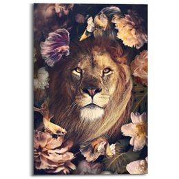Reinders Deco-Panel &raquo;Dschungel-L&ouml;we&laquo; braun Holzwerkstoff B/H/T: 60cm x 90cm x 2cm