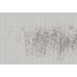Livingwalls living walls Fototapete &raquo;Walls by Patel At The Pond&laquo; glatt Vlies, Wand grau Vlies B/L: 4m x 2,7m