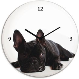 Artland Wanduhr &raquo;Bulldogge&laquo; wahlweise mit Quarz- oder Funkuhrwerk, lautlos ohne Tickger&auml;usche schwarz &Oslash; 30cm, Quarzuhr
