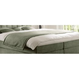 Hapo Tagesdecke &raquo;NEYLA, mit beidseitigem Stoff, in diversen Farben & Gr&ouml;&szlig;en erh&auml;ltlich&laquo; beidseitig Stoff mit Vlie&szlig;watte versteppt gr&uuml;n Polyester B/L: 