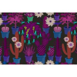 Livingwalls living walls Fototapete &raquo;Walls by Patel Cactus Garden 1&laquo; glatt Vlies, Wand, Schr&auml;ge blau Vlies B/L: 4m x 2,7m