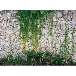 Livingwalls living walls Fototapete &raquo;Natursteinmauer Vlies&laquo; glatt Steinwand mit Pflanzen Fototapete Steine 3,50 m x 2,55 m Tapete bunt Vlies B/L: 3,5m x 2,55m