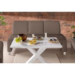 exxpo - sofa fashion Polsterbank &raquo;Intenso, Sitzbank, Breite 162 cm, wahlweise in Leder oder Textil&laquo; hohe Bodenfreiheit, frei im Raum stellbar, hoher 