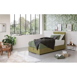 COTTA Boxbett &raquo;Tom mit Bettkasten, Topper und Zierkissen&laquo; Bestseller, Unser Dauertiefpreis gr&uuml;n Polyester Struktur soft Polyester Komfortschaumtoppper