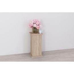 FMD Container &raquo;Essex&laquo; Breite 30 cm braun Holzwerkstoff Eiche NB, B/H/T: 30cm x 57,4cm x 30cm, T&uuml;ren: 1 Stk.