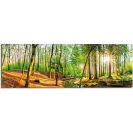 Reinders Wandbild &raquo;Sonniger Wald&laquo; gr&uuml;n Holzwerkstoff B/H/T: 156cm x 52cm x 2cm