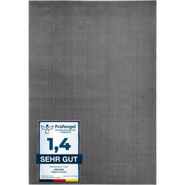 ANDIAMO Teppich &raquo;Arezzo&laquo; rechteckig 16 mm H&ouml;he Uni Farben, weicher Flor, waschbar, ideal im Wohnzimmer & Schlafzimmer grau Polyester B : 60cm 1 Stk., 16mm, L:
