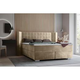 Home Affaire Boxspringbett &raquo;Piazza&laquo; mit Steppung und Kopfteil mit seitlichen Fl&uuml;geln beige Strukturstoff-Bezug (100% Polyester);Samtvelours (100% 